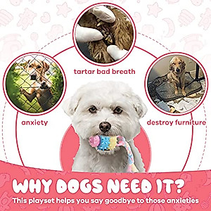 BAEJMJK 5 Pack Puppy Teething Toys Cute Pink Dog Chew Toys for Small Dogs Soft Rubber Puppy Toys Set Plush Squeaky Dog Toys for Cleaning Teeth Interactive Pet Doggy Bone Toys