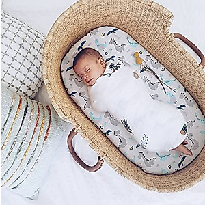 Bassinet Sheets JERORAY for Girls and Boys, 2 Pack Stretchy Ultra Soft Jersey Knit Bassinet Mattress Pad Cover, Grey Dinosaur