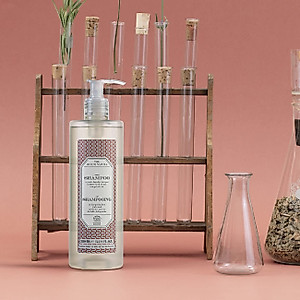 THE RERUM NATURA Organic Certified Shampoo with Lavender and Enriched with a Note of Bitter Orange Leaf - Made in Italy with 100% Recycled Bottle (12.84 fl oz)