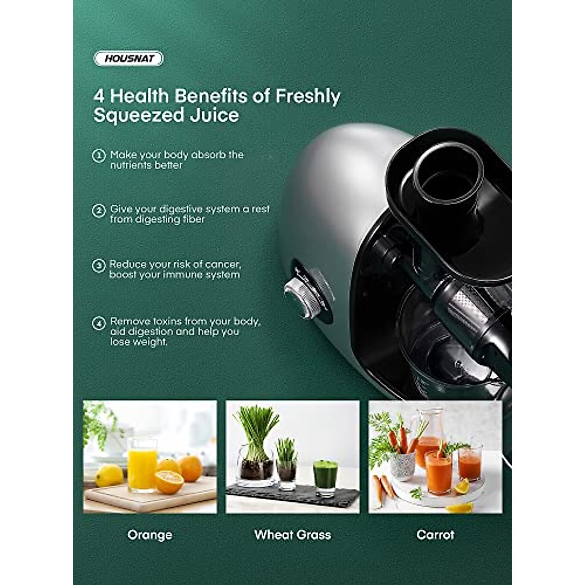 Slow Juicer Machines, HOUSNAT Cold Press Juicer Extractor for Fruits & Vegetables Easy to Clean, 2-Speed Mode with Quiet Motor & Reverse Function, Slow Masticating Juicer with Recipe (Silver Gray)