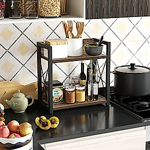 Giikin 2 Tier Lazy Susan Organizer, 2 Tier Spice Turntable Organizer, Circle Rotating Lazy Susan Turntable for Kitchen Countertop and Cabinet, 9.8 Inches (Rustic Brown)