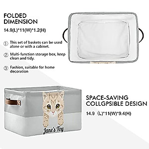 Custom Cat Toy Bin Box Collapsible Storage Cube with Handles Personalized Puppy Supplies