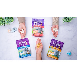 Whole Life Pet Just One Salmon - Cat Treat Or Topper - Human Grade, Freeze Dried, One Ingredient - Protein Rich, Grain Free, Made in The USA