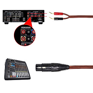 XMSJSIY XLR Speaker Cable to Pin Plug, XLR 3 Pin Male to Dual 2mm Pin Plug Audio Cable OFC HiFi Speaker Wire for DJ/PA Amplifier Subwoofer Mixer Cord-2M/6.56 Feet (XLR Female)