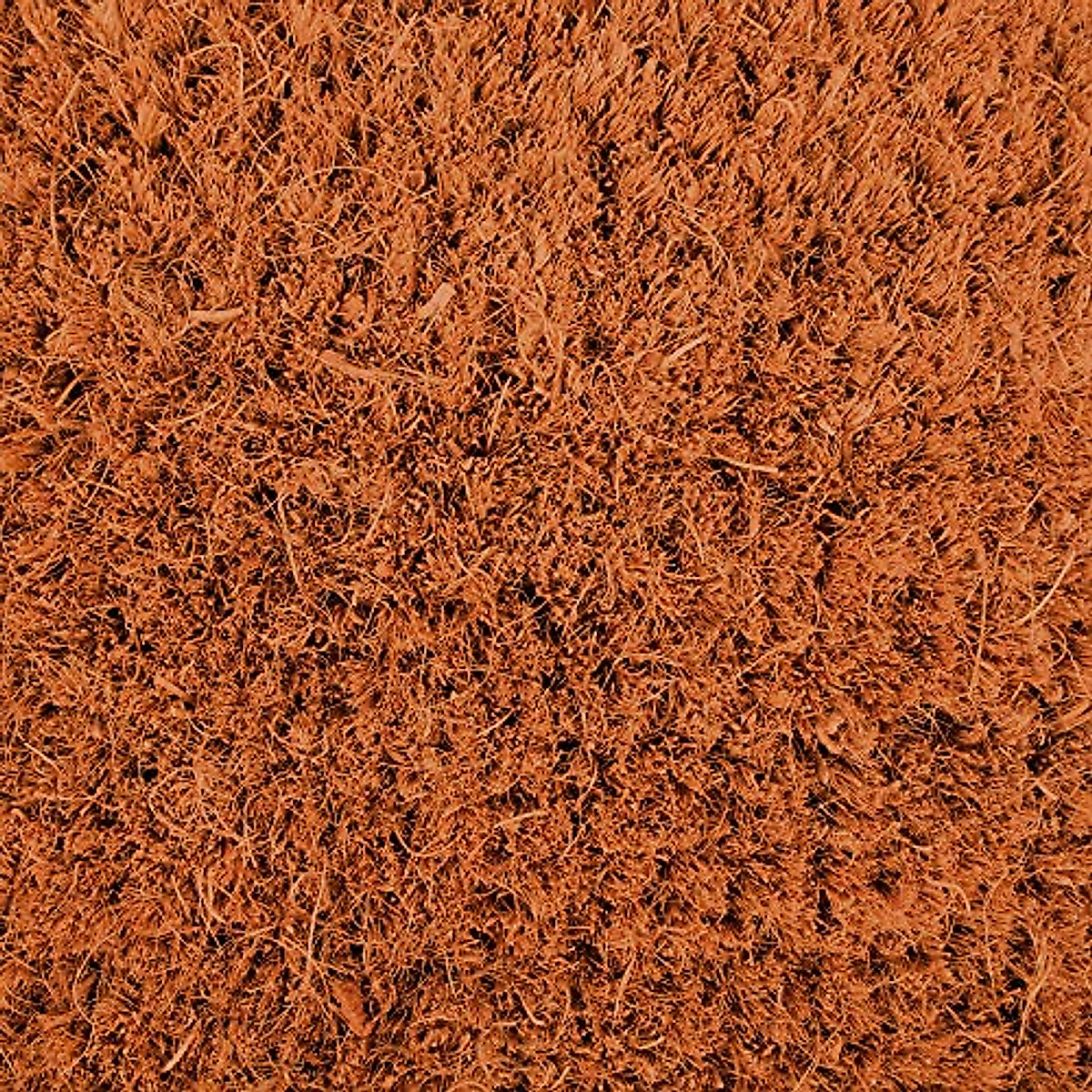 DII Natural Coir Outdoor Doormat, Fall & Thanksgiving Seasonal Mat, 17x29", Give Thanks Pumpkin