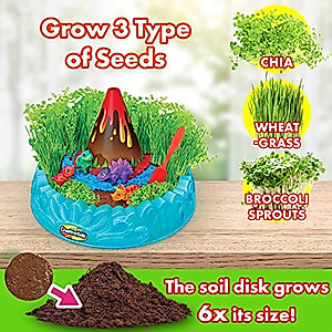 Creative Kids Miracle GRO Dinosaur Garden Kit, Multicolor