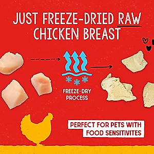 Stella & Chewy's Freeze-Dried Raw Single Ingredient Chicken Breast Treats, 2.75 oz. Bag