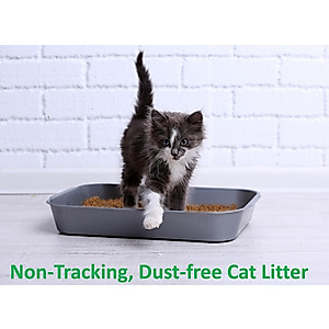 Coir Wonder Coconut Cat Litter – Natural, Non-Clumping Kitty Litter - Ultra Lightweight Bag Lasts Same As 40 Lb Clay – with Activated Charcoal Odor Control – Bedding for Chicken Coop and Small Pets