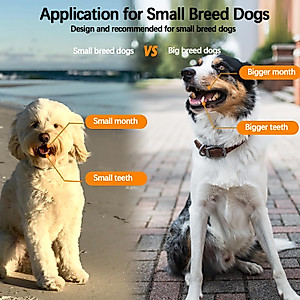 JGocot Small Breed Dog Toothbrush, Pet Toothbrush for Cats, Small Breed Dogs, Puppy Dogs, Utral Soft Micro Nano Bristle No Gum Hurting