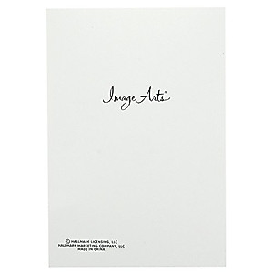 Image Arts Boxed Christmas Cards Assortment, Home for the Holidays (4 Designs, 24 Cards with Envelopes)