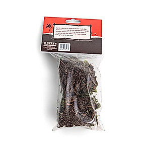 Fluker's Live Moss for Hermit Crabs, 0.7oz Green