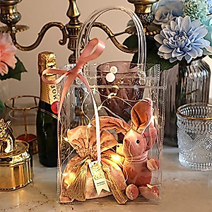 Inn Diary 30pcs Plastic Clear Gifts Bags with Handle Transparent PVC Gift Wrap Bag for Favors Christmas Bags,Reusable Shopping Bags Party Bags