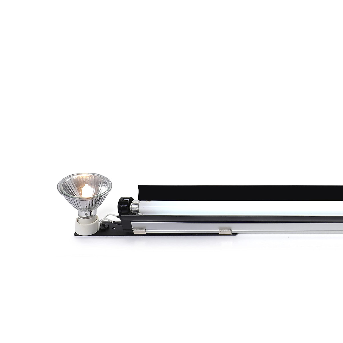 CAROLINA CUSTOM CAGES 35w GU10 Halogen Reptile Basking Bulbs, Set of 2 Bulbs