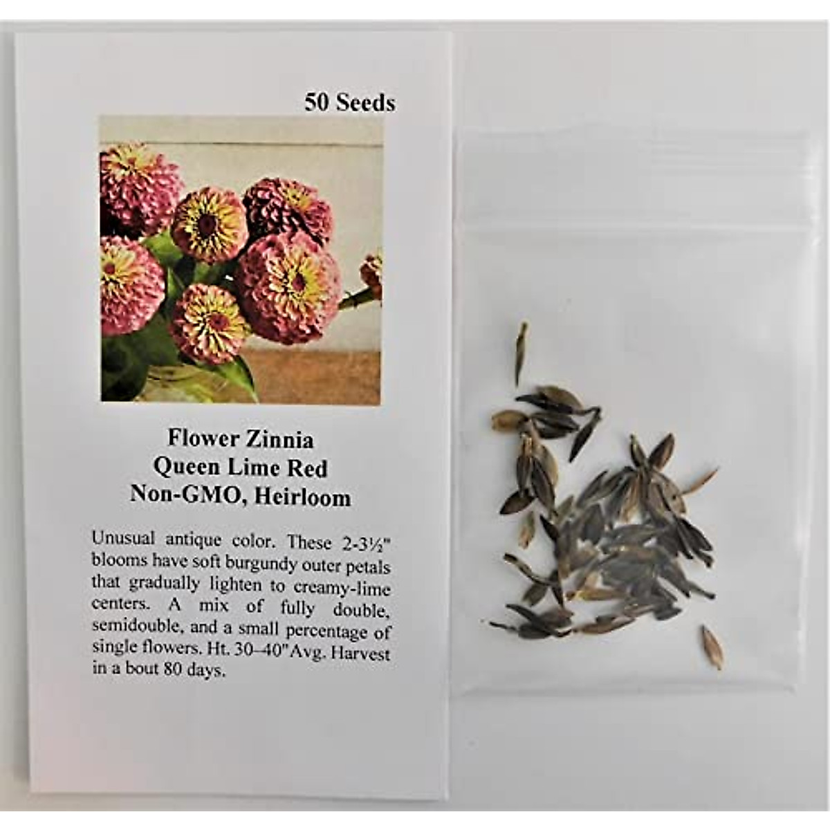 David's Garden Seeds Flower Zinnia Queeny Lime Red 5411 (Red) 50 Non-GMO, Heirloom Seeds