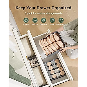 HogarTech Underwear Bra Orgainzer for Drawer, Sturdy Construction with Double Zippers, Durable Oxford Cloth, Removable Base Board Drawer Organizer for Sock, Clothing, Bra, 3 Pack, Grey