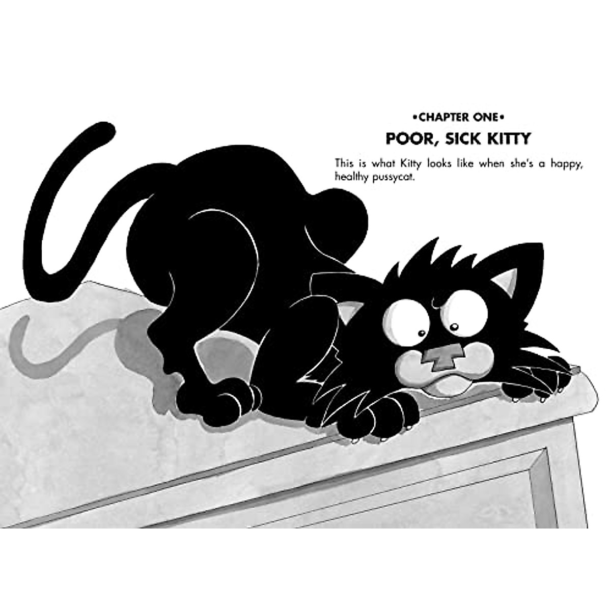 Bad Kitty Goes to the Vet (paperback black-and-white edition)