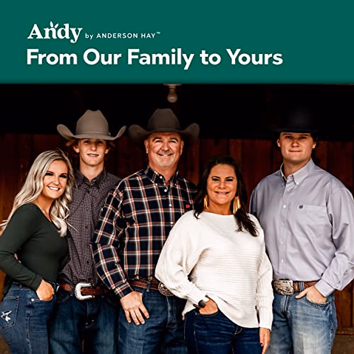 Andy Organic Timothy Hay Andy-Pak Feeder Box, 4 Pack 1.5 Lb Boxes, 1st Cutting Rabbit Food, Premium Hamster, Chinchilla, Gerbil, & Guinea Pig Food, Small Animal Treats, 6 lbs