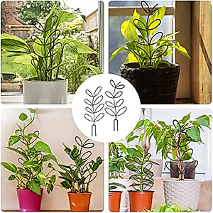 4 Pcs Small Metal Trellis for Potted Plants,Indoor Plants Trellis for Climbing,Leaf Shapes Mini Plant Trellis Support Stake House Plant Trellis for Garden Potted, Hoya, Pothos, Flower, Monstera(Black)