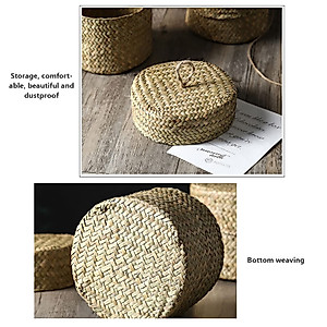 QmjdDymx Small Seagrass Storage Baskets with Lid Straw Round Storage Box with Handle Wicker Basket Home Organization for Snack, Keys Desktop Decor
