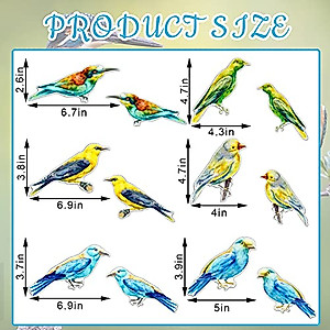 12 Pcs Hummingbird Magnets, Decorative Double Sided Magnetic Sticker Flexible Screen Door Protector for Window Screen Sliding Doors