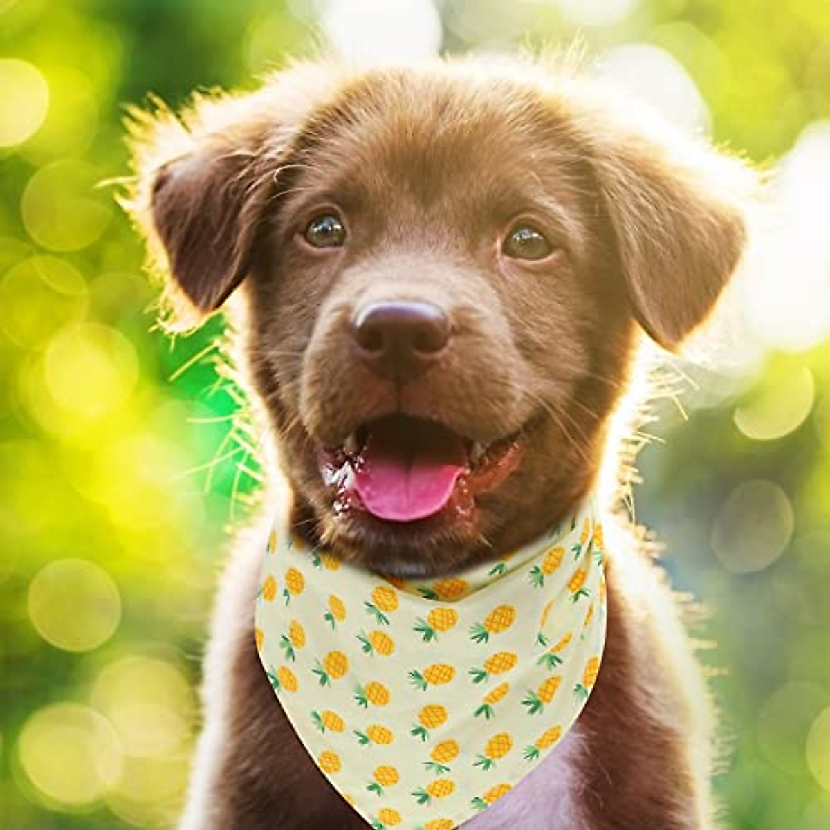 POPETPOP 1 Set of Fruit Pet Bandana Triangle Hawaiian Style Cat Kerchief Scarf Puppy Grooming Bowties Hairband Collar Bibs Set Costume Accessories for Dogs Cats