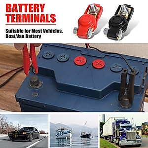 Frienda 6 Pcs Car Copper Battery Terminal Clamps Connectors Quick Release Battery Terminals Clamps Negative and Positive, 12v/ 24v/ 48v Compatible with Boat Truck Car Van