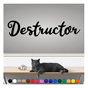 Transform Your Walls with Professional Grade, Outdoor Weatherproof Vinyl Stickers - Happy Sunday - UV Resistant, Made in The USA! Inspirational Words: Destructor: 14 Inch, Satin Silver
