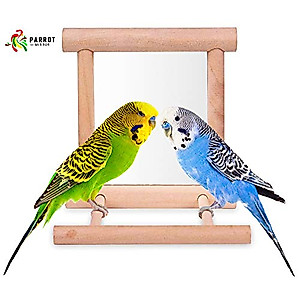 Blessed family Bird Parakeet Mirror for Cage,Parrot Perch Stand,Wooden Hummingbird Swing Toy,Parakeet Accessories for Cockatiels Conure Finch Lovebird Canary African Grey Macaw