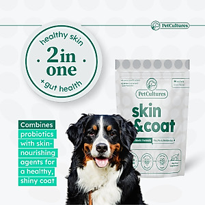 Skin and Coat with Dog Probiotic Powder, Made in USA, Omega 6 & 3, Probiotics for Dogs, 30 Pks, Vitamin B12 & E, Biotin 450mcg, Dog Probiotics for Digestive Health, Skin & Coat Support