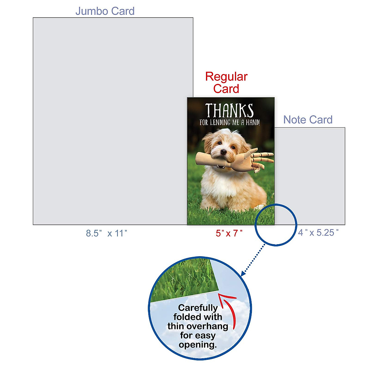 NobleWorks - 1 Funny Thank You Greeting Card - Animal Thanks and Gratitude Notecard Stationery - Lending a Hand C6877TYG