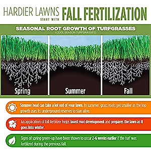 Greenview 2129861 Fairway Formula Fall Fertilizer - 45 lb - Covers 15,000 sq. ft., Multi