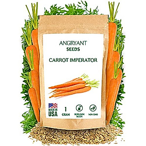 Imperator Carrot Seeds for Planting - 914+ Heirloom, Non-GMO Seeds - 100% USA Grown - Easy to Grow Long Tapered Carrots with Sweet Flavor - Suitable for Indoors and Outdoors Home Vegetable Garden