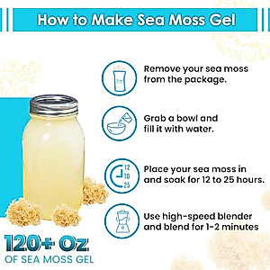 BUIE HOLISTIC HERBS Golden Irish Sea Moss, Pure Wildcrafted, Nutrient-Rich, Dr. Sebi Inspired - Makes 120+ oz Gel | Pure & Natural Raw Gold Irish Sun - Dried Sea Moss for Health & Wellness / (8 oz)