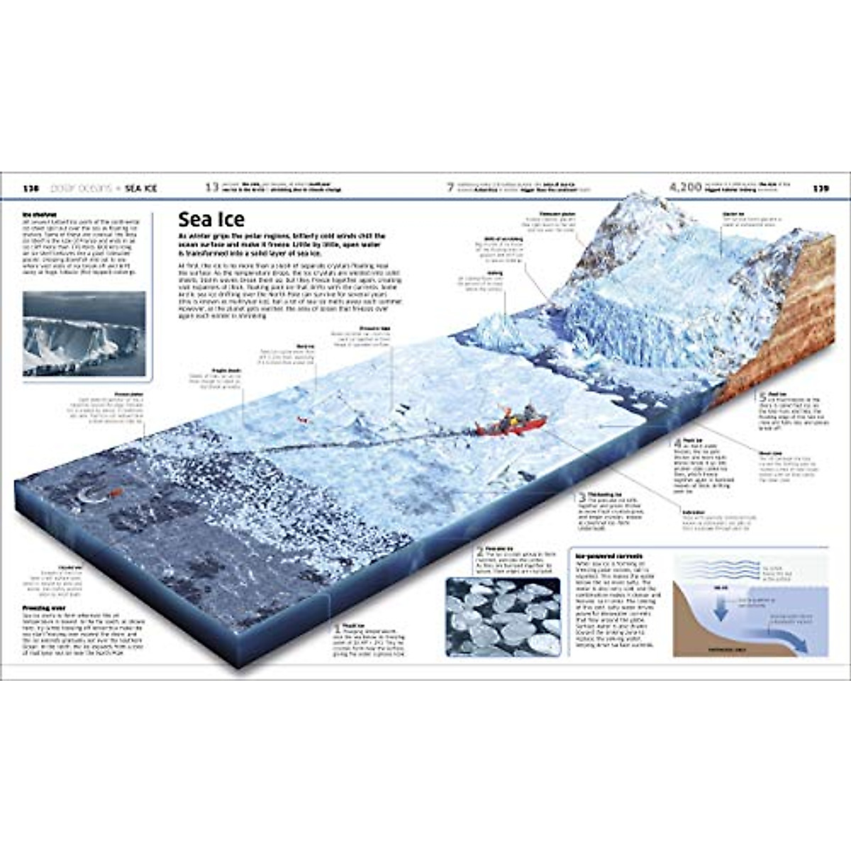 Knowledge Encyclopedia Ocean! (DK Knowledge Encyclopedias)