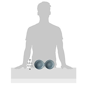 PetRageous 91431 Wubbys Duo Diner Stoneware Bowl 10-Inch Wide and 1.5-Inch Tall Bowl with 1-Cup Capacity Each Bowl and Dishwasher and Microwave Safe for Extra Small Dogs and Cats, Blue