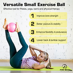 ProBody Pilates Ball Small Exercise Ball w/Pump, 9 Inch Barre Ball, Mini Soft Yoga Ball, Workout Ball for Stability, Barre, Ab, Core, and Physical Therapy Ball at Home Gym & Office (Yellow)