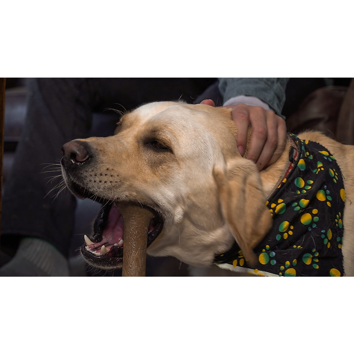 Hero | Bonetics Femur Bone | Dog Bones | Puppy Bones | Designed for Extra Large Dogs Up to 75 lbs (Bacon Flavor)