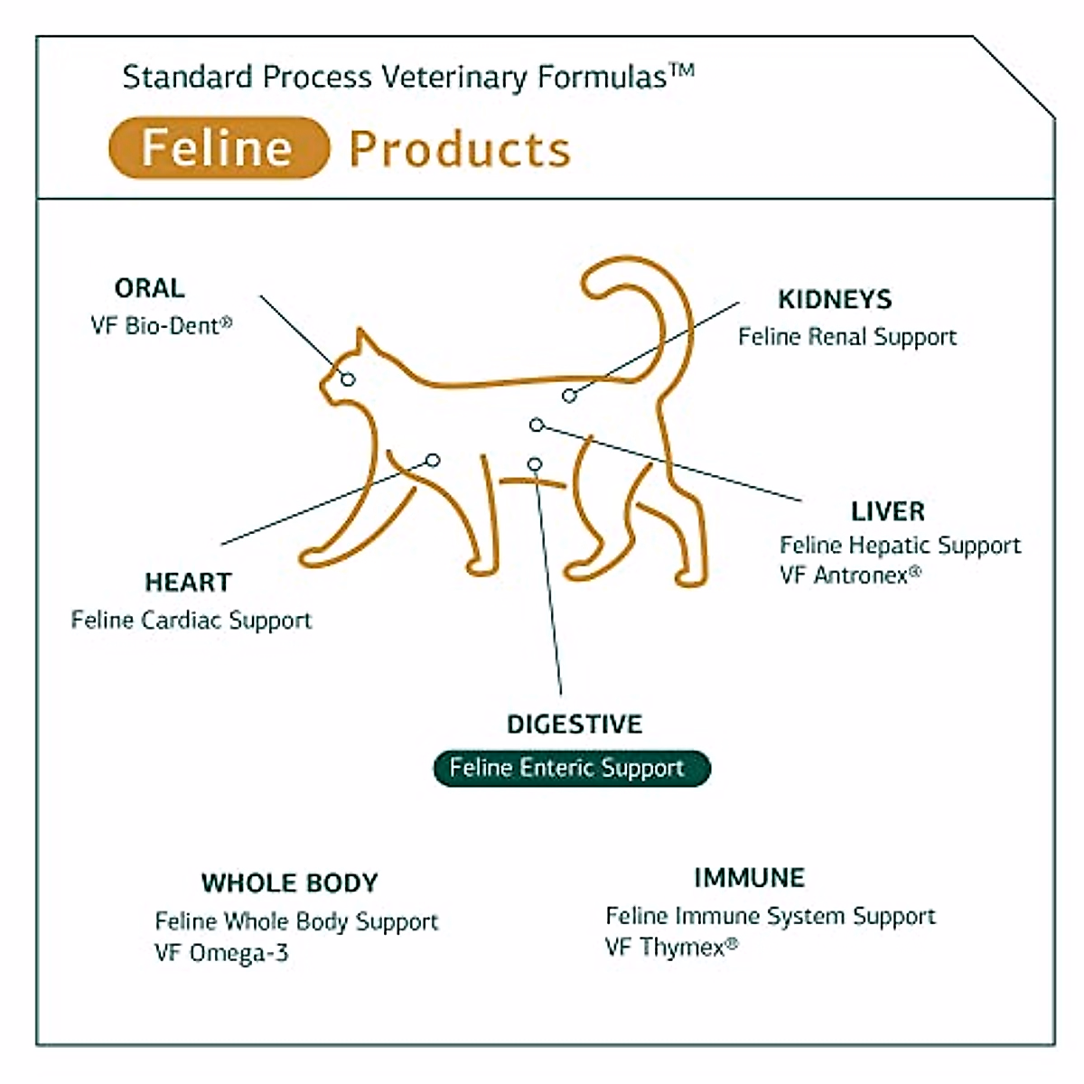 Standard Process - Feline Enteric Support - 90 Tablets