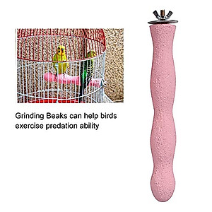Bird Perch, Parrot Claw and Beak Frosted Grinding Bar Standing Stick Cage Toy for Parakeet African Grey Amazon Cockatoo Budgies Cockatiel(L)
