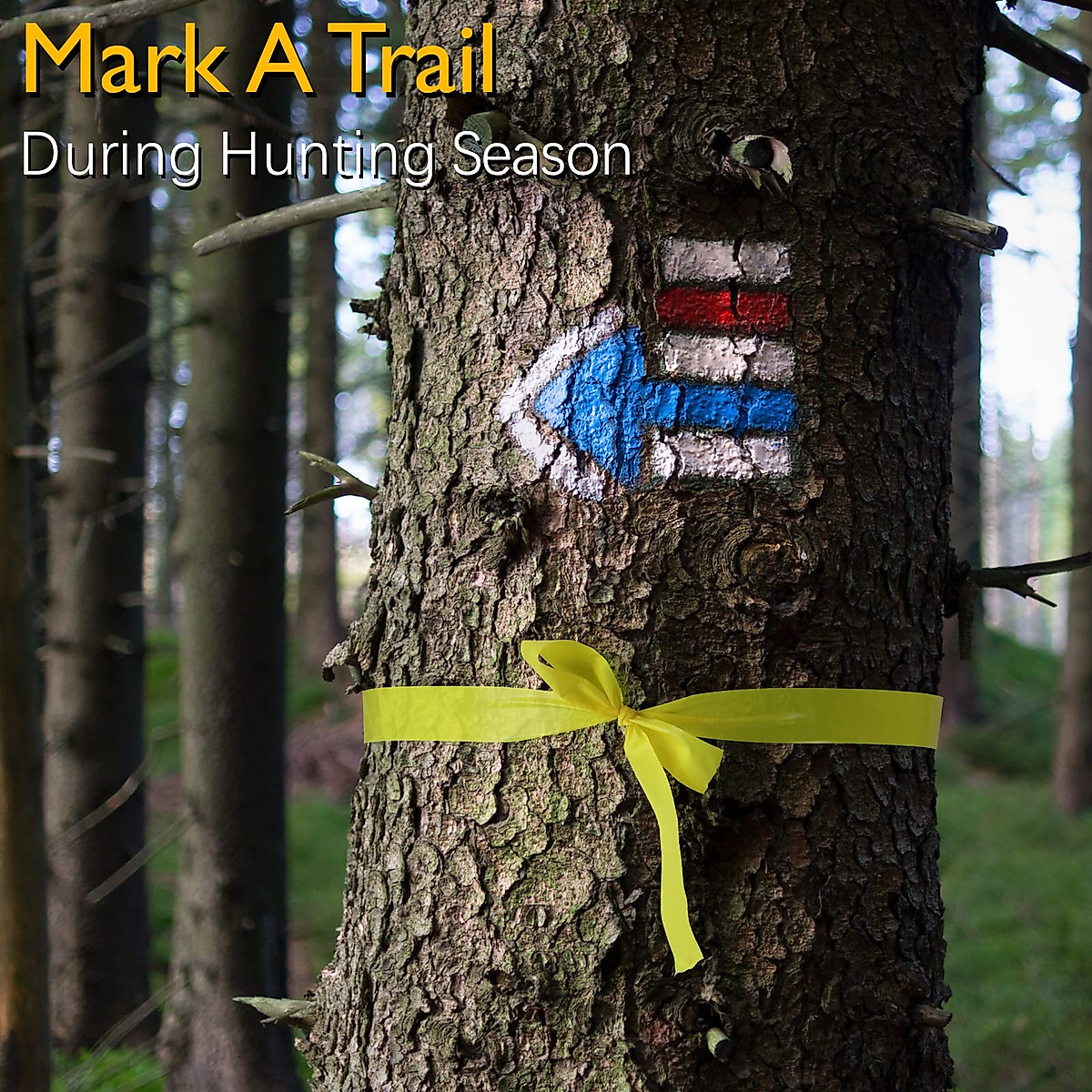 GUFJUCH Flourescent Flagging Tape, Non-Adhesive Plastic Ribbon Neon Marking Roll, for Tree Marking, Hunting Trail Tape, Boundaries and Hazardous Areas Marking, 4 Colors 0.78'' X 200'