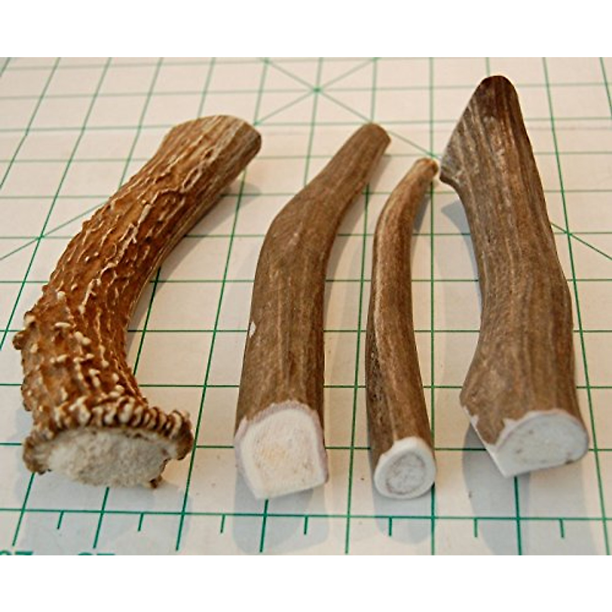 Premium Deer Antler Pieces - Dog Chews - Antlers by The Pound, One Pound - Six Inches or Longer - Medium, Large and XL - Happy Dog Guarantee!