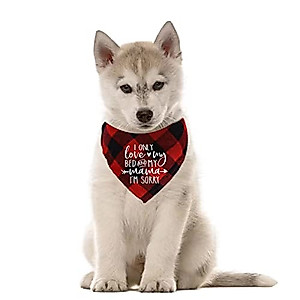 Ming Heng Funny Cute Red Plaid Pet Dog Cat Bandana Scarf,I Only Love My Bed and My Mama, I'm Sorry,Puppy Dog Scarf Pet Birthday Gift