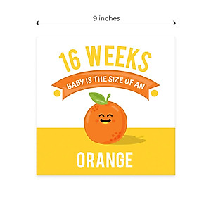 Canopy Street Maternity Weekly Milestone Photo Props / 18 Card Set Of 36 Baby Growth Designs / 9" x 9" Modern Pregnancy Keepsake/Adorable Photography As You Grow Signs