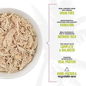 Tiki Cat Luau Grain-Free, Low-Carbohydrate Wet Food with Poultry or Fish in Consomme for Adult Cats & Kittens, 6oz, 8pk, Chicken