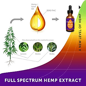 Zimmerman - Die Soldaten / Kontarsky, Staatstheater Stuttgart [VHS]