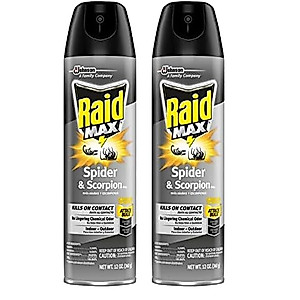 Raid Spider and Scorpion Killer, Kills Spiders, Scorpions, roaches, Ants, Waterbugs, earwigs, 12 Oz (Pack of 2)