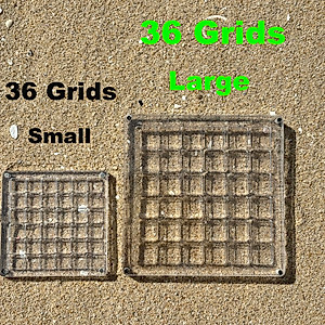 XronSlute Large Acrylic Magnetic Seashell Display Box,DIY Seashell Display Box,Clear Storage Box for Seashell,Gemstones,Nail,Jewelry (1Pc 36 Grids Large)