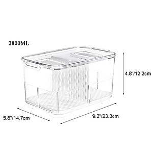 blitzlabs Produce Saver Lettuce Container, Refrigerator Organizer Bins Fridge Food Storage Containers with Lids and Removable Drain Tray for Freezer Cabinet Kitchen Organization 2800ML -2 Pack