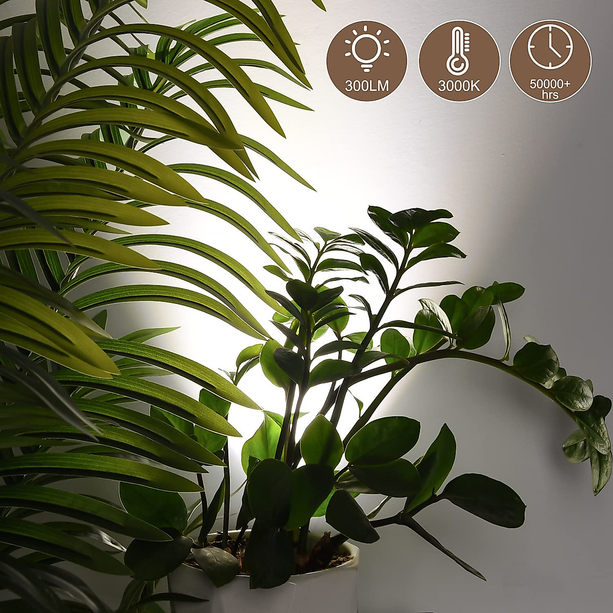 FZWLE 2 Pack Dimmable Indoor Spot Lights with Timer & Remote, 3W LED Up Lights, 3000K/4000K/5000K Adjustable, Ideal Indoor Accent & Plant Spotlight