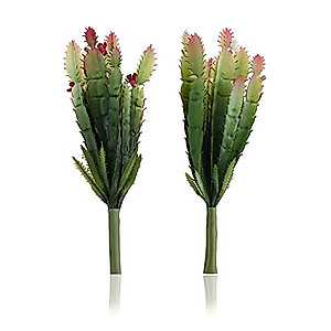 Bluecell 2pcs Real Looking Artificial Cactus Artificial Cacti Plant DIY Material for Home Decoration Flower Arrangement